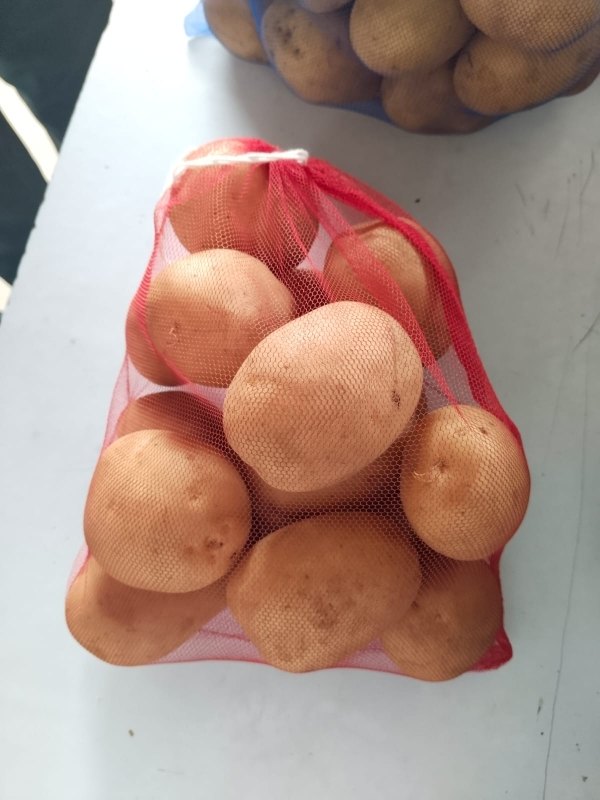 Red Mesh Bag For Potatoes at Rs 3.49/bag | Raschel Mesh Bag in Mandsaur ...